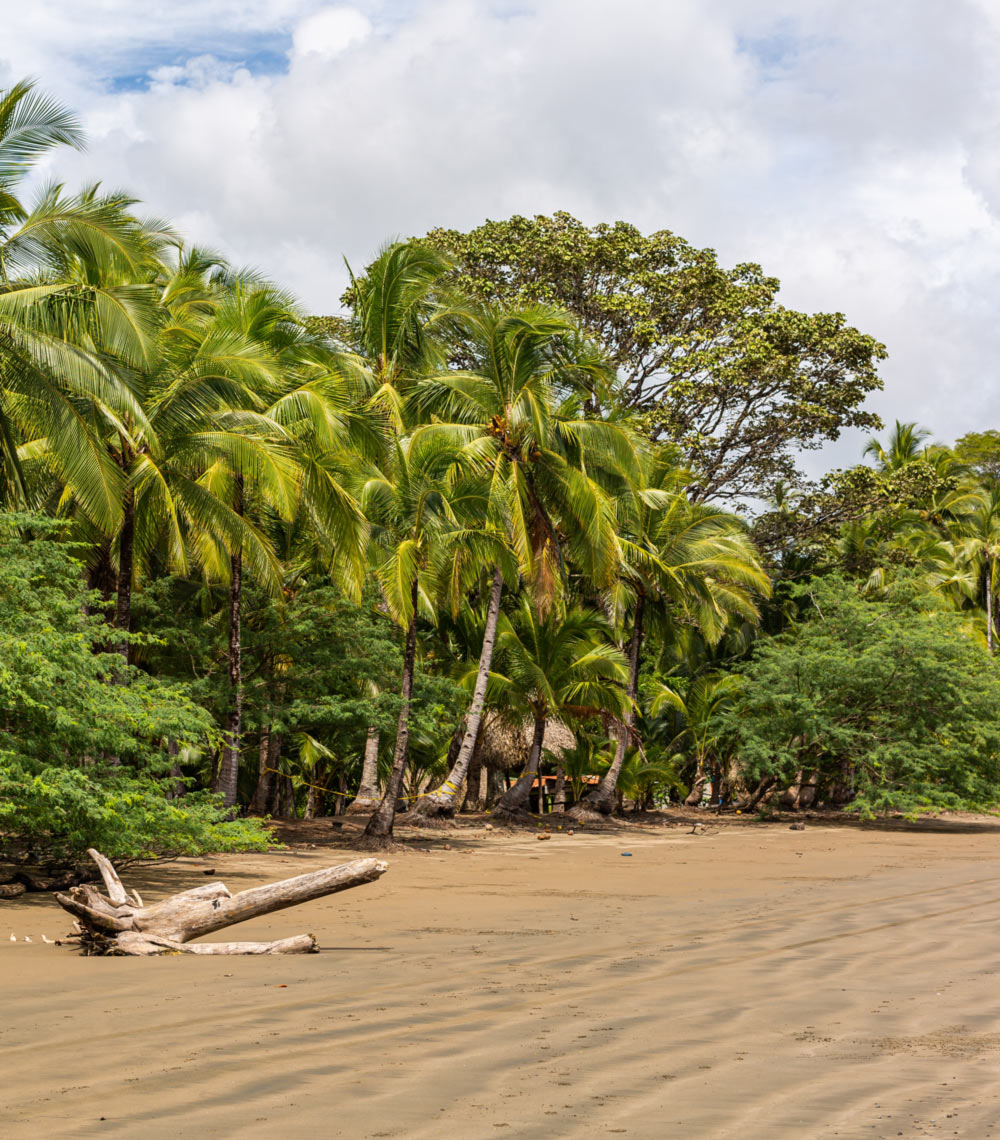 Home - Playa Caracol Rentals
